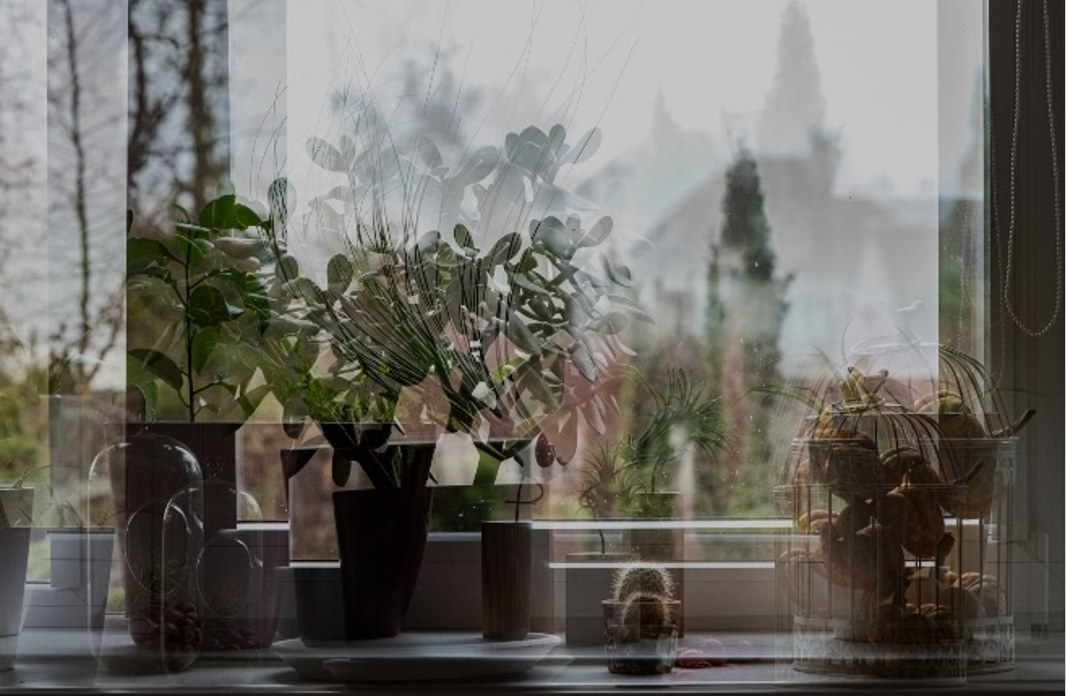 Why You Should Never Ignore Double Vision - invision